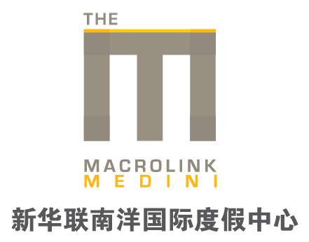 The Macrolink Medini